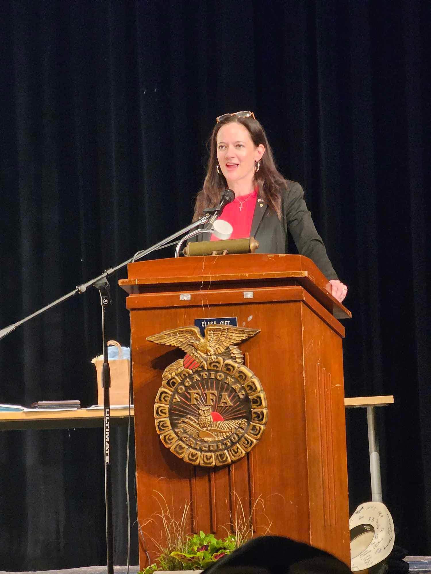 Lawmaker proposes the end of kayak registration fees | News, Sports ...